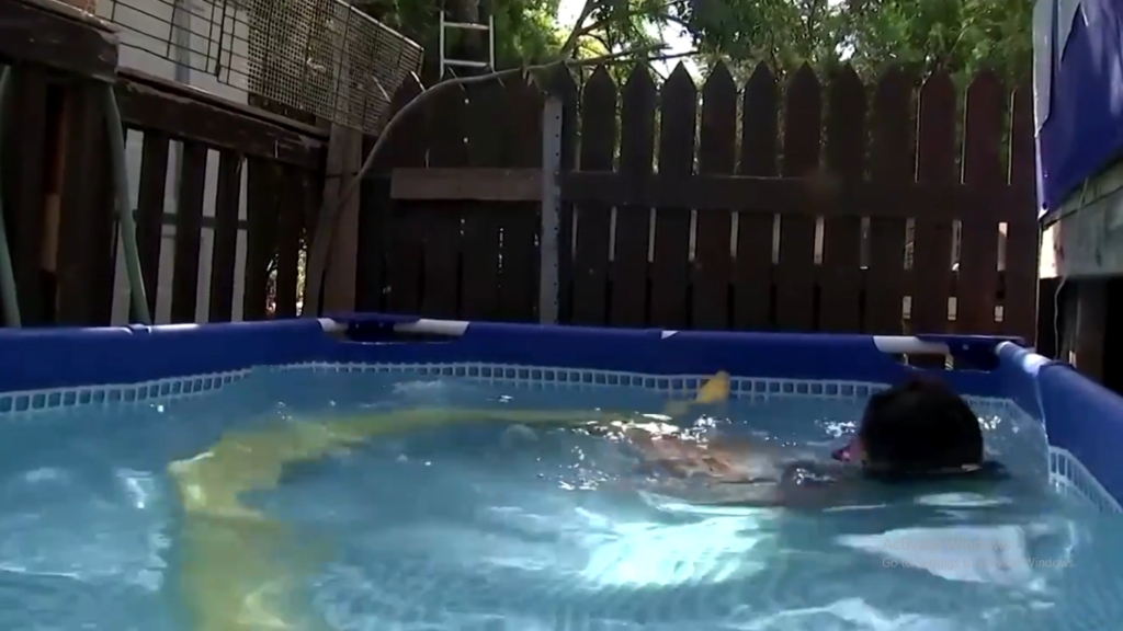 ୮ ବର୍ଷର ନାବାଳିକାଙ୍କ ବେଷ୍ଟ ଫ୍ରେଣ୍ଡ ହେଉଛି ୧୧ ଫୁଟର ଅଜଗର