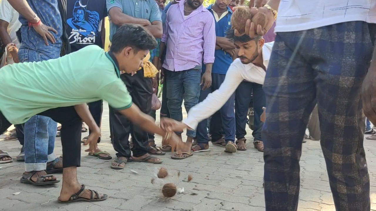 unique Tradition of Satyavadi on Gamhapurnami: Coconut Fighting