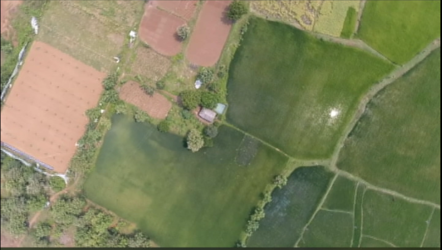 ସାଟେଲାଇଟ୍ କରିବ ଧାନକ୍ଷେତ ଚିହ୍ନଟ, ଟୋକନ ଅବଧି ୧ ମାସକୁ ବୃଦ୍ଧି